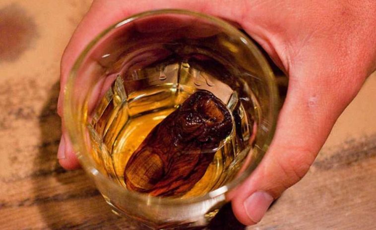 3–The-human-toe-cocktail – Onthebright.com